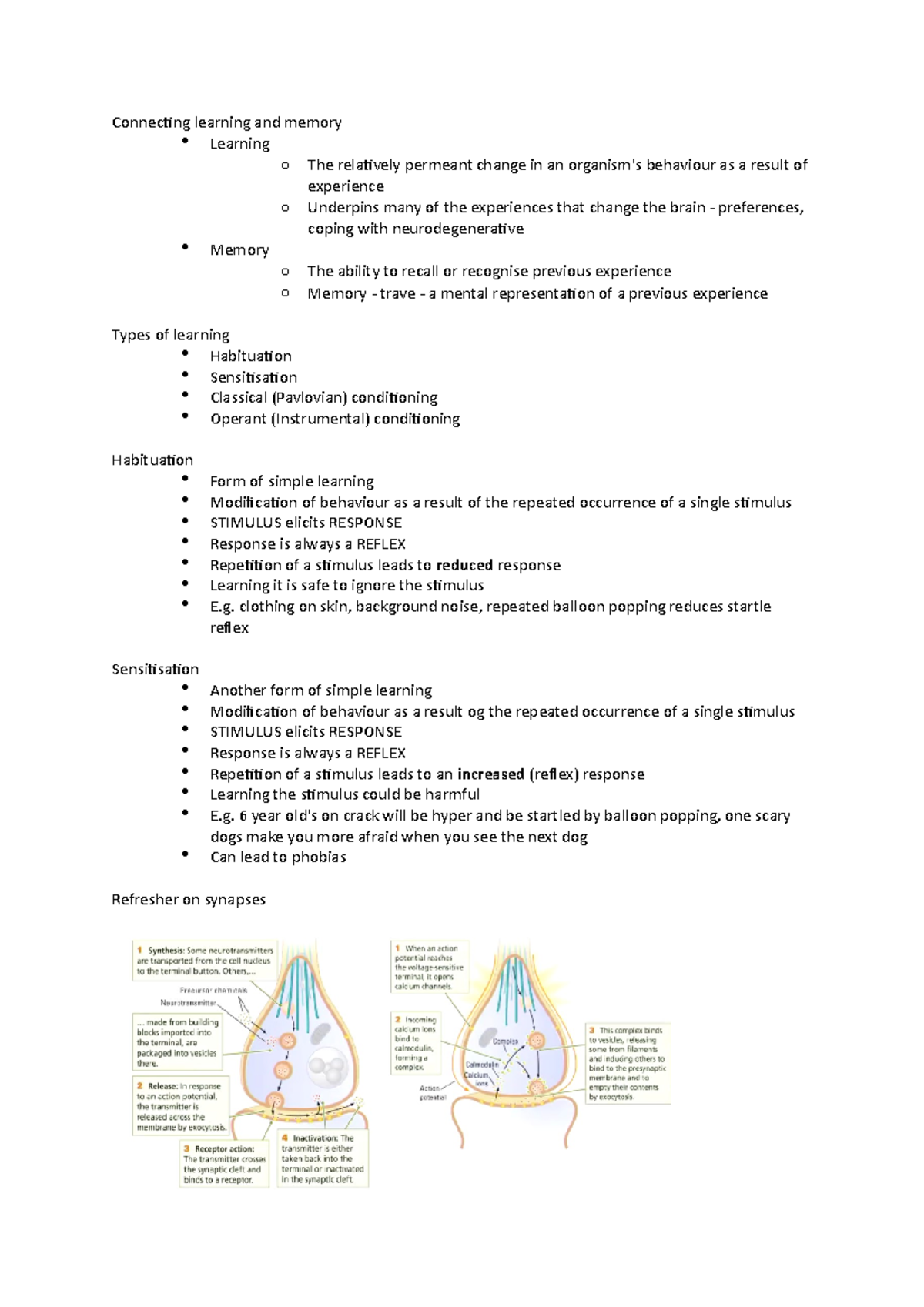 Connecting learning and memory - Connecting learning and memory Learning o The relatively ...
