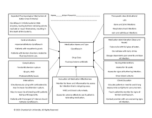 RUA Outline - RUA Outline Student NR327 Maternal Health Chamberlain ...