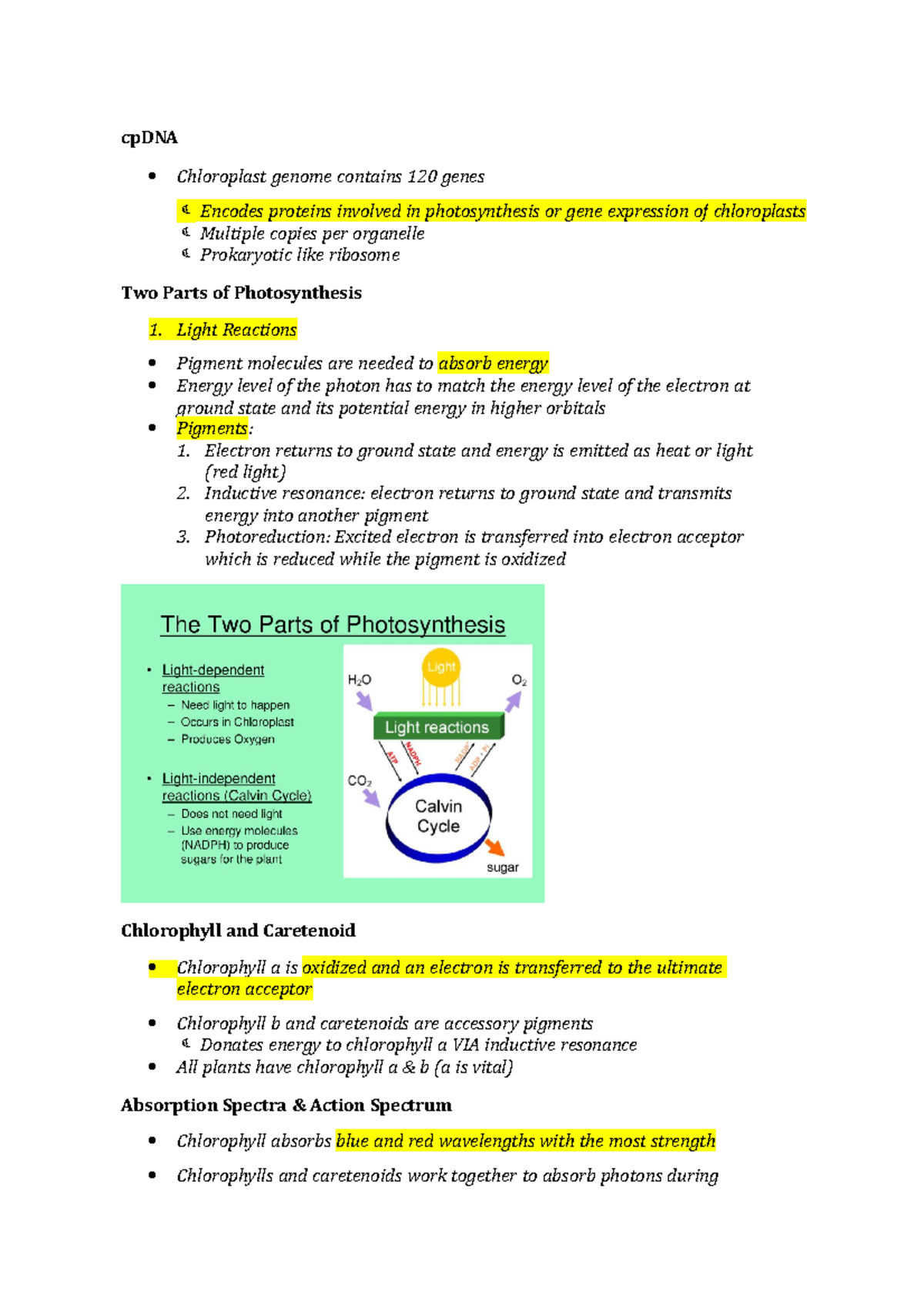 Week 6 - Week 6 Life processes lecture notes - cpDNA Chloroplast genome ...