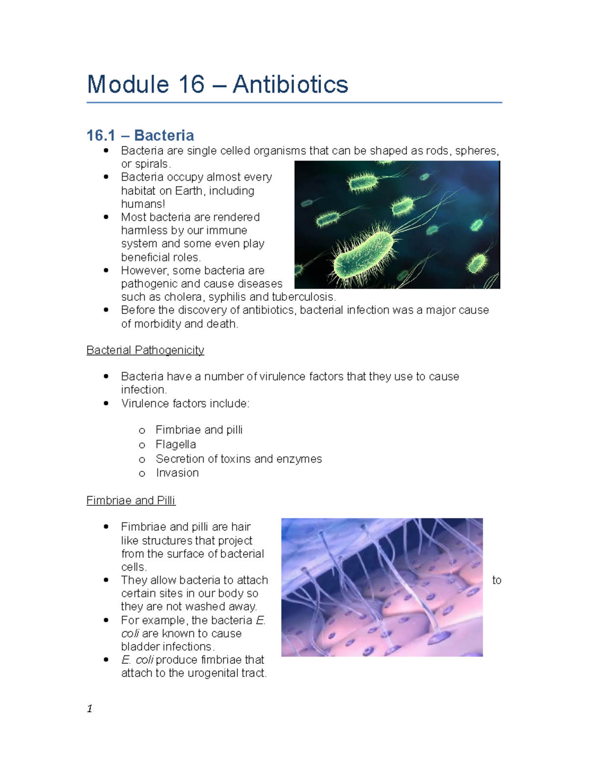 Module 16 Notes 2020 - not - Module 16 – Antibiotics 16 – Bacteria ...