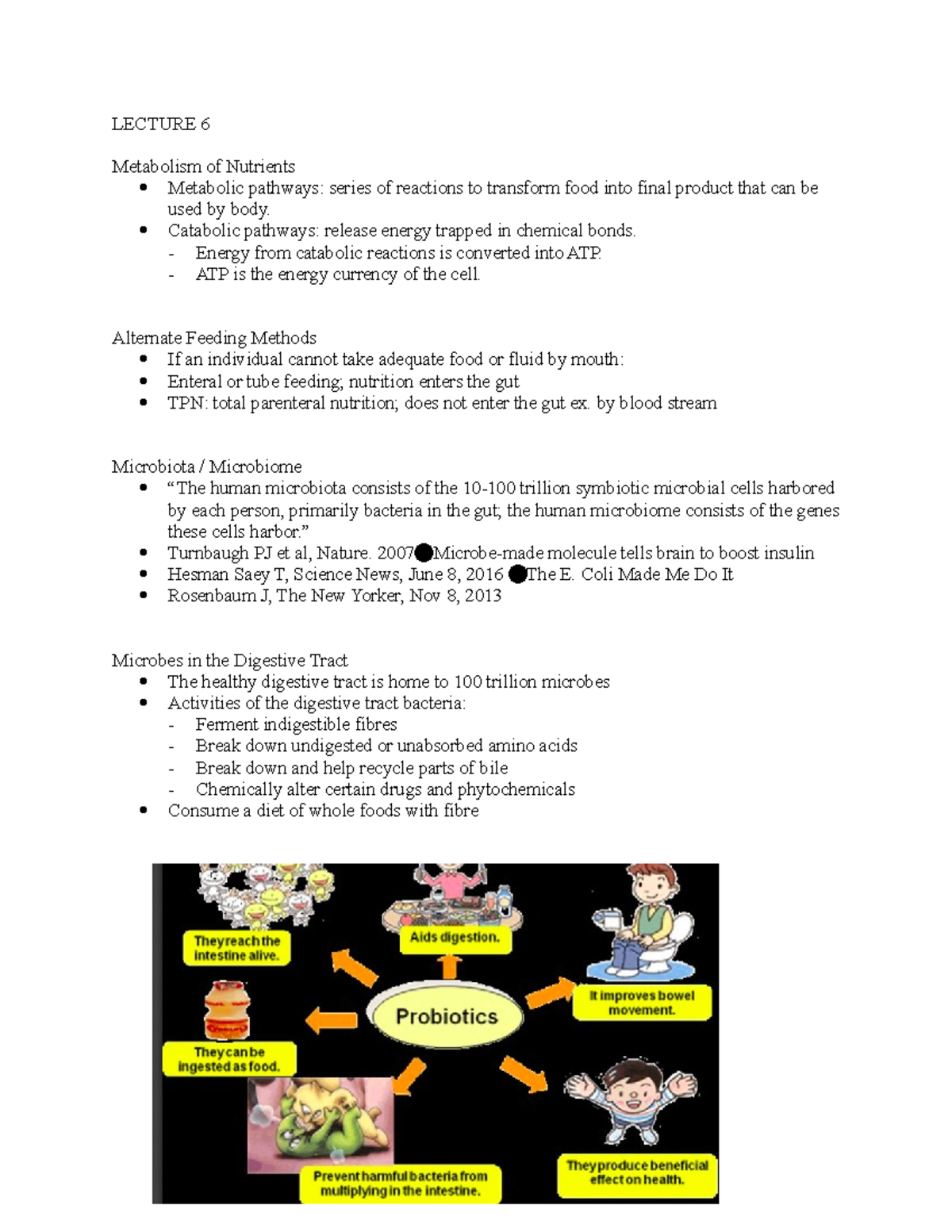 Lecture 6 - LECTURE 6 Metabolism of Nutrients Metabolic pathways ...