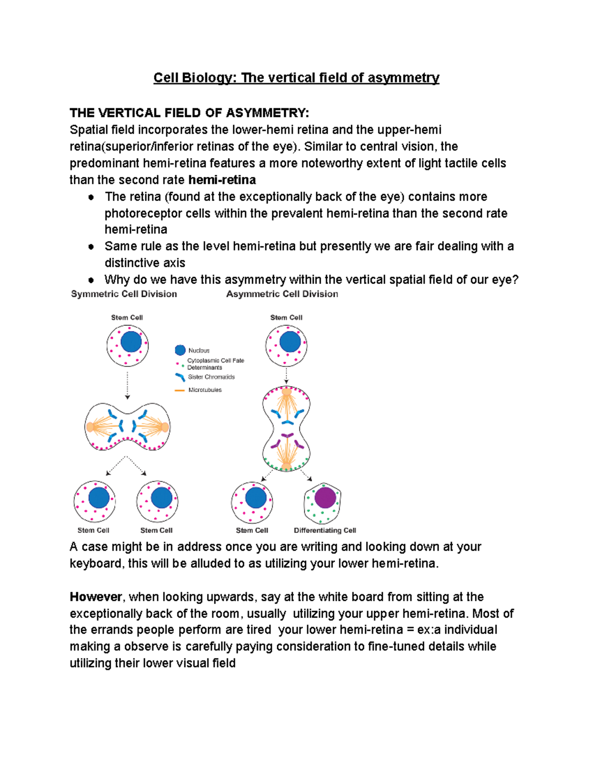 Cell Biology The vertical field of asymmetry - Similar to central ...