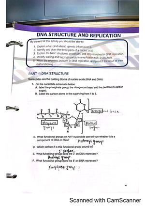 AP Biology Virtual Pre-lab Bacterial Transformation 2021 - Nimisha ...