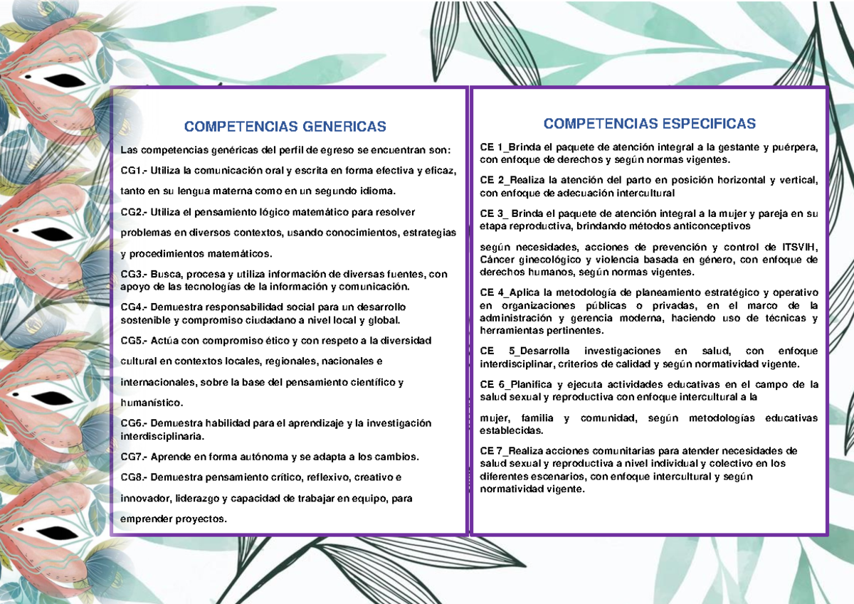 Competencias - Apunte de C. Genéricas Y C. Especificas - COMPETENCIAS ...