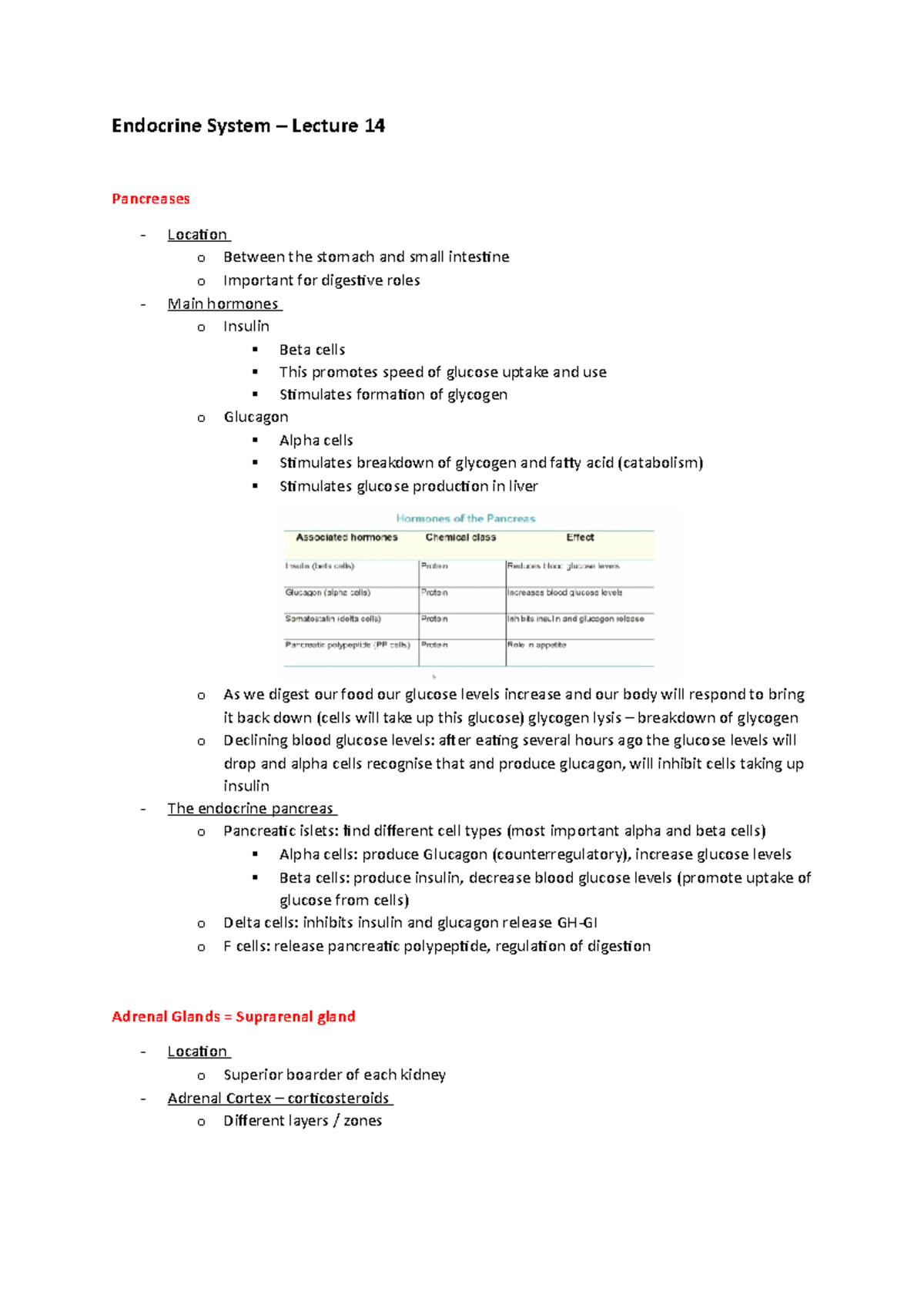 Endocrine System - Studocu