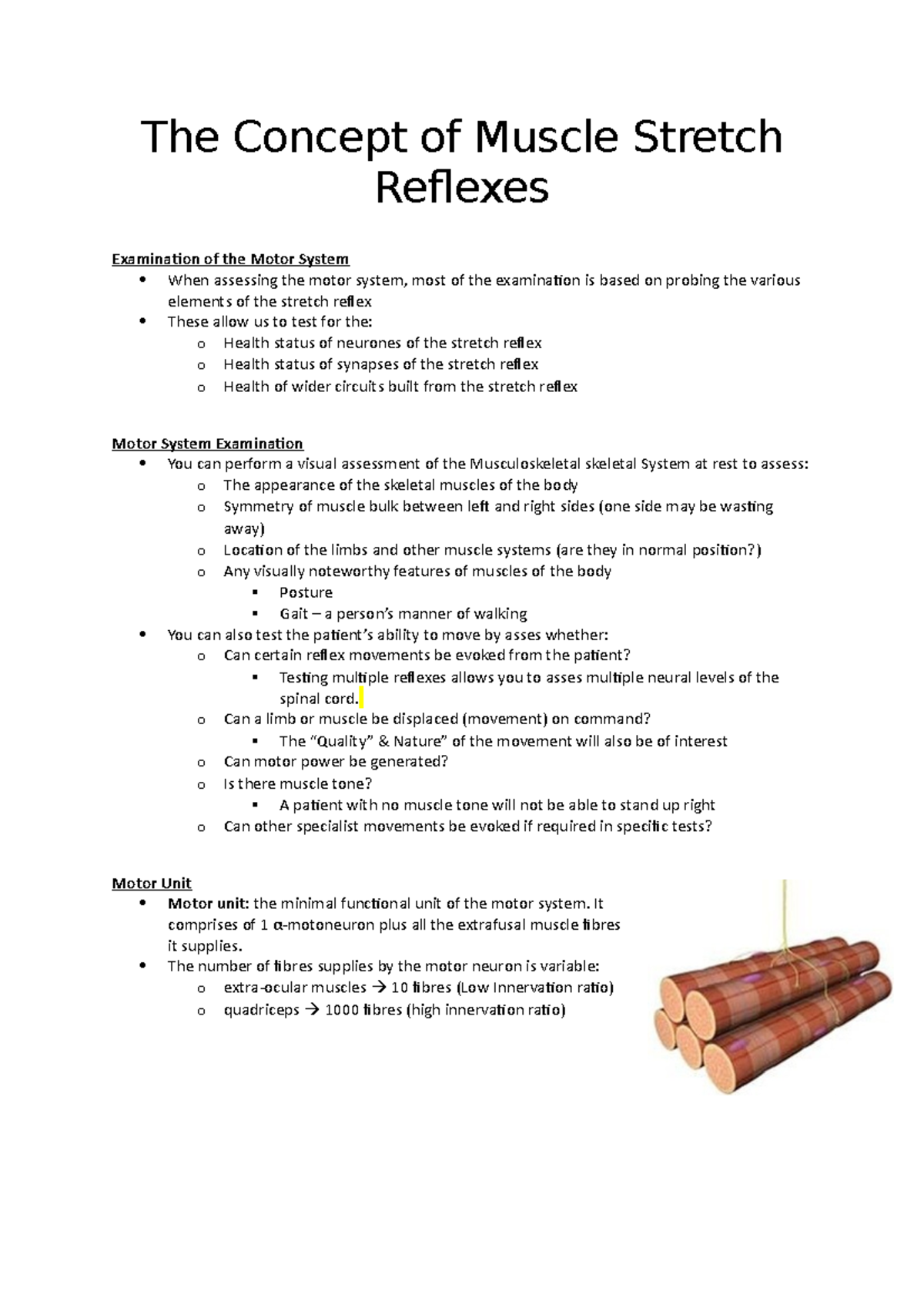 The Concept of Muscle Stretch Reflexes - The Concept of Muscle Stretch ...