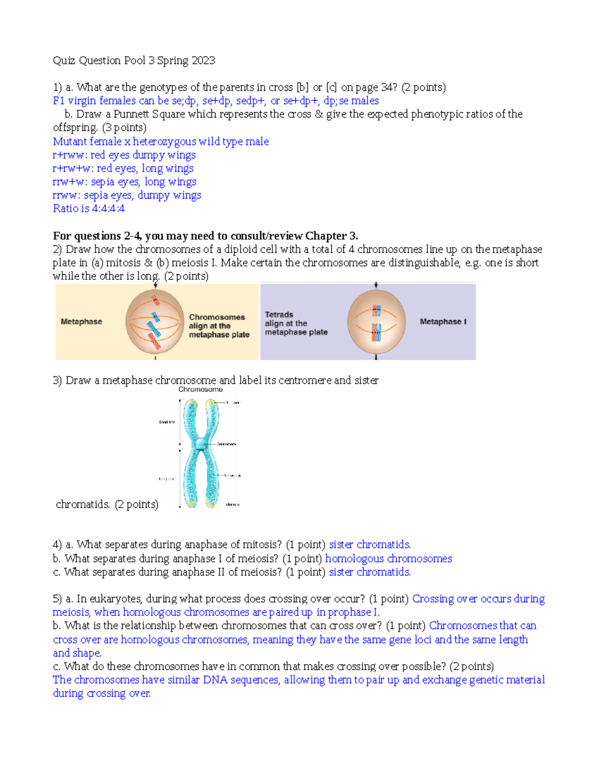 Quiz Questions on Genetics Cell Division and DNA - Studocu