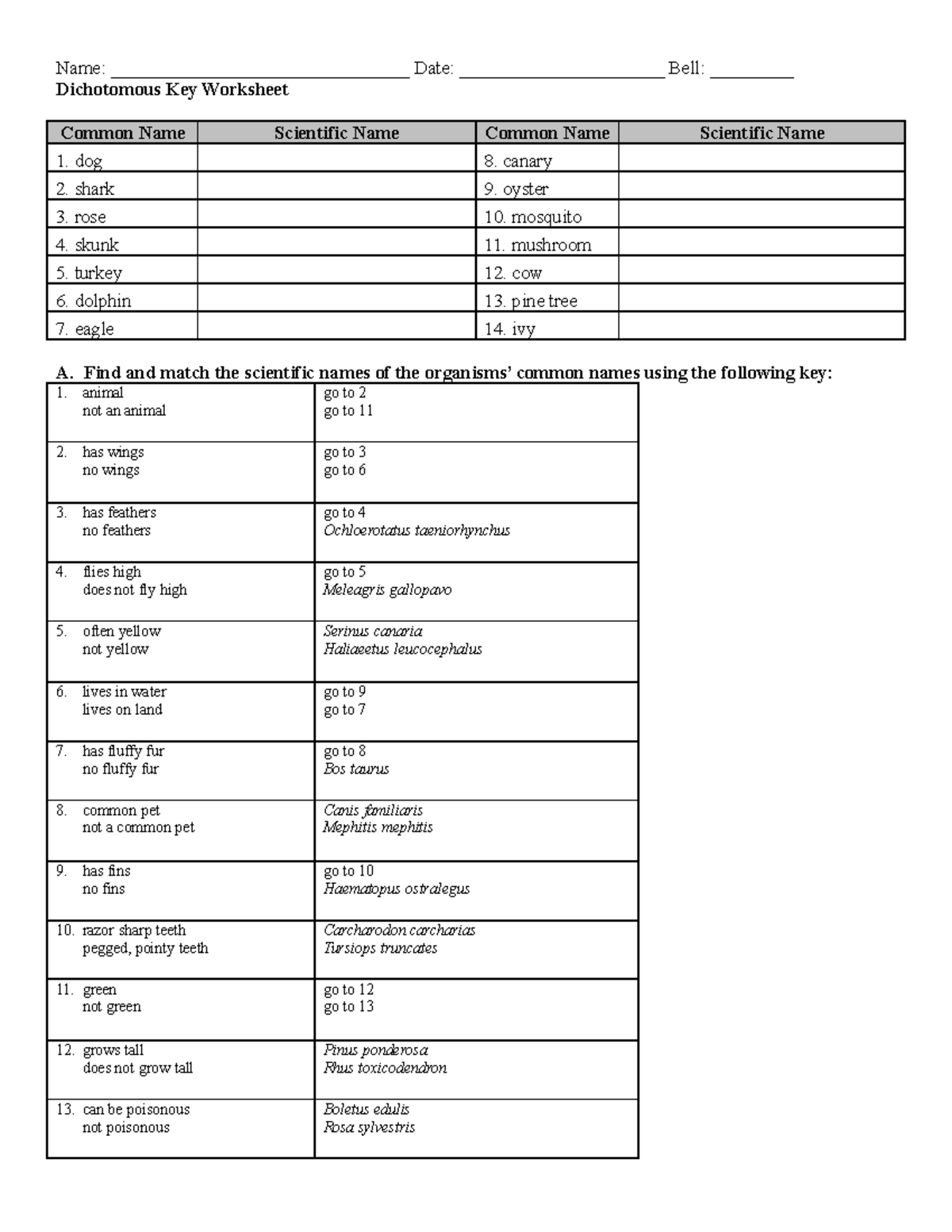 Plant & Animal Dicotomous Key Worksheet - Name ...
