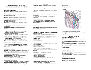 Anatomy of the Composite Cell - Anatomy of the Composite Cell Activity ...