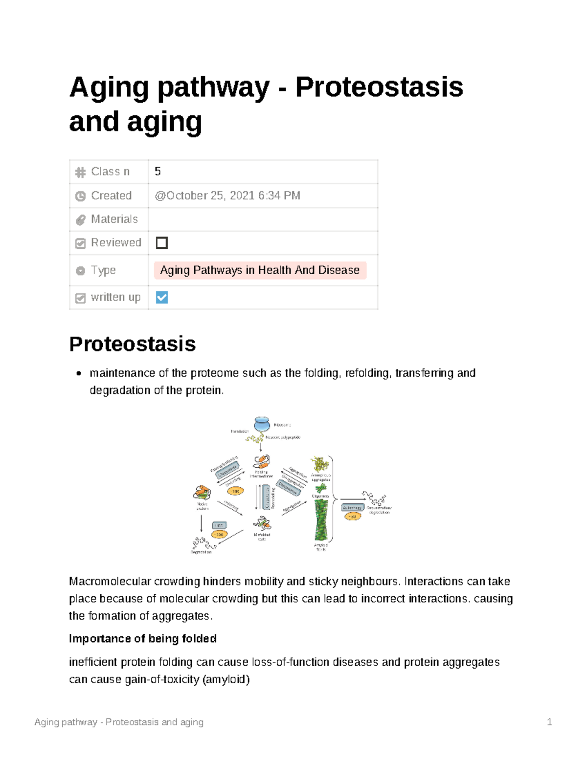 5 Aging pathway - Proteostasis and aging - Aging pathway - Proteostasis ...