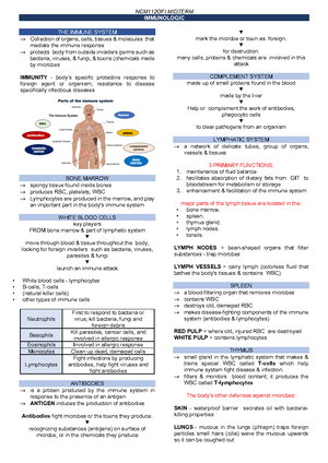NLM PRELIM - Leadership Theories - NCM119NLM BSN 4 NIGHTINGALE A. 2024 ...