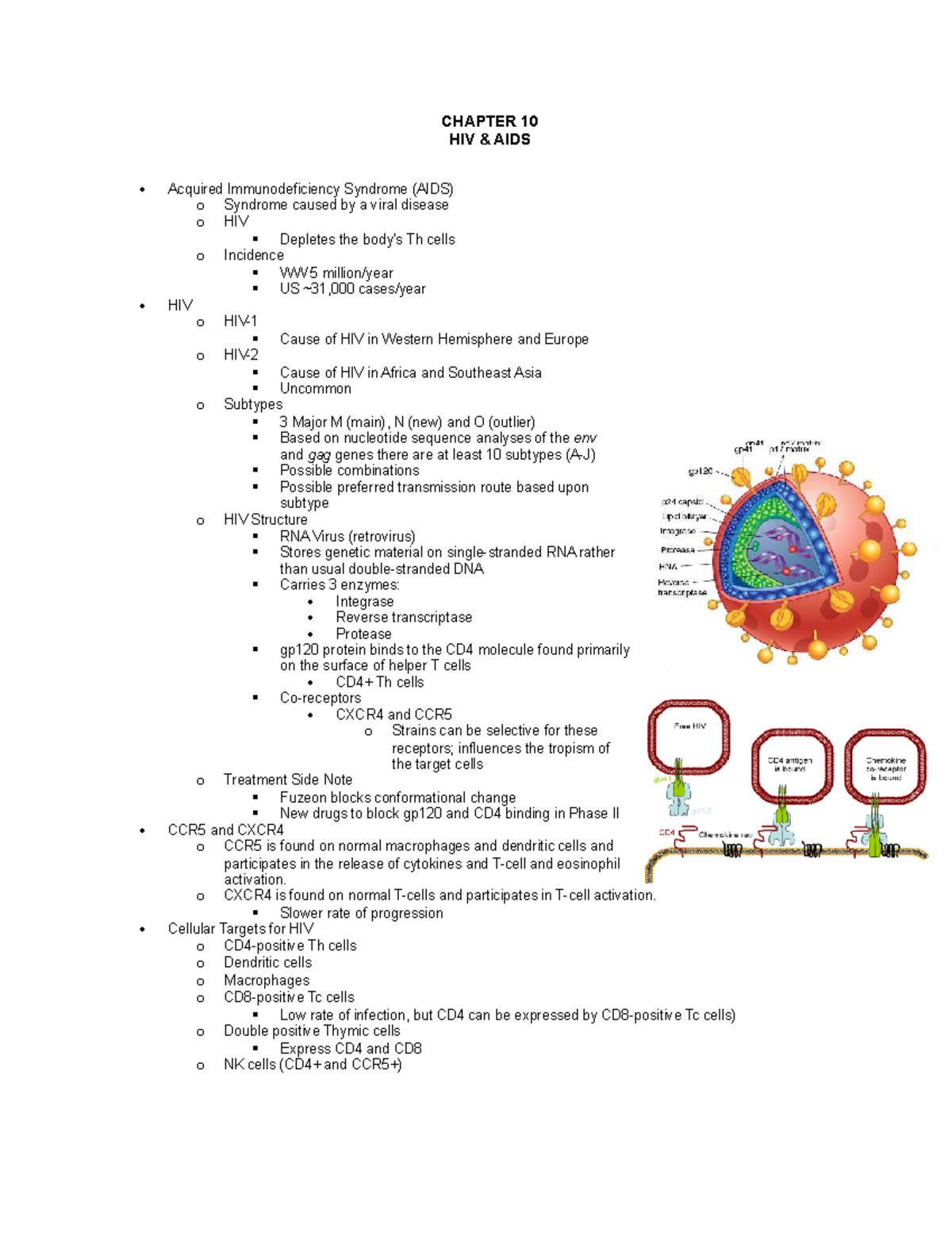 Chapter 10 - HIV & AIDS - HIV/AIDS lecture notes - CHAPTER 10 HIV AIDS ...