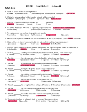 35 Vascular Plant Structure, Growth, and Development - Chapter 35 ...