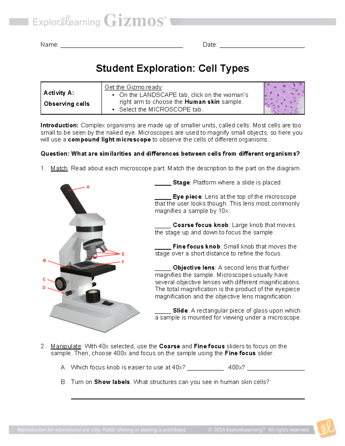 Gizmo cell types - Name: Date: Student Exploration: Cell Types Activity ...
