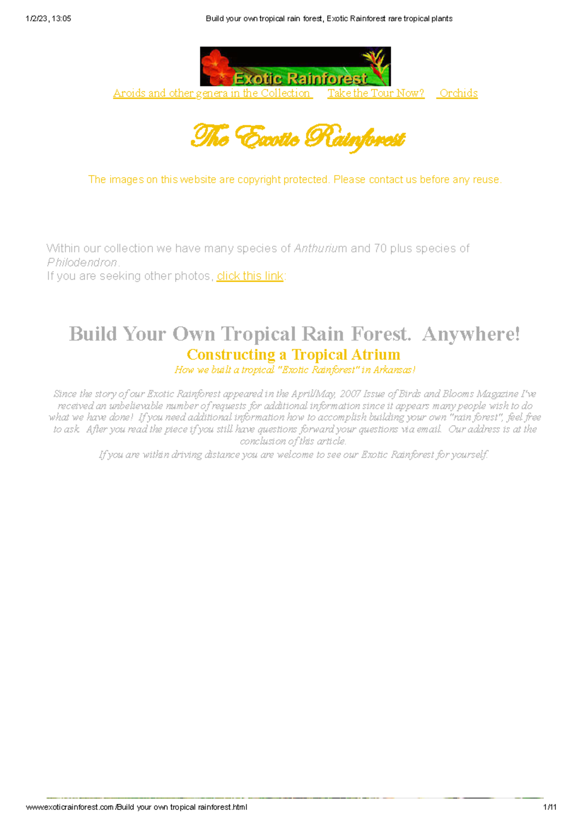 Build your own tropical rain forest, Exotic Rainforest rare tropical ...