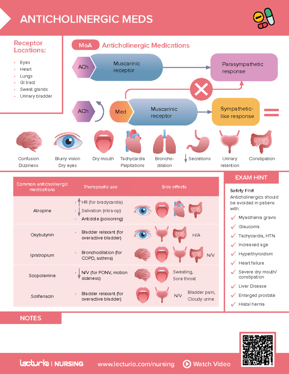 Anticholi Inergic-Meds - lecturio/nursing Watch Video NOTES MoA ...