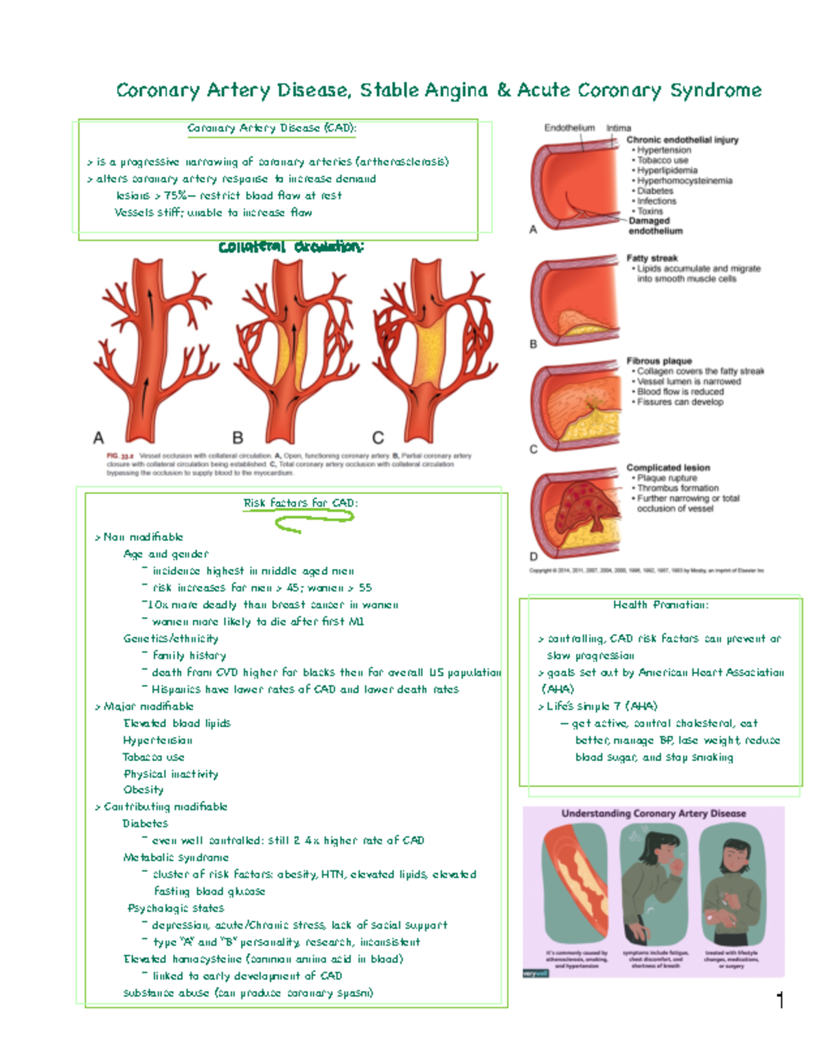 Notes CADs, ACS, & Stable Angina - Coronary Artery Disease, Stable ...