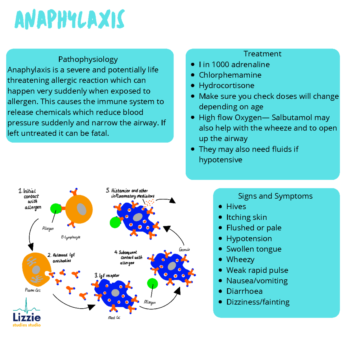 Anaphylaxis 2022-09-11 08 23 49 - Anaphylaxis Pathophysiology ...