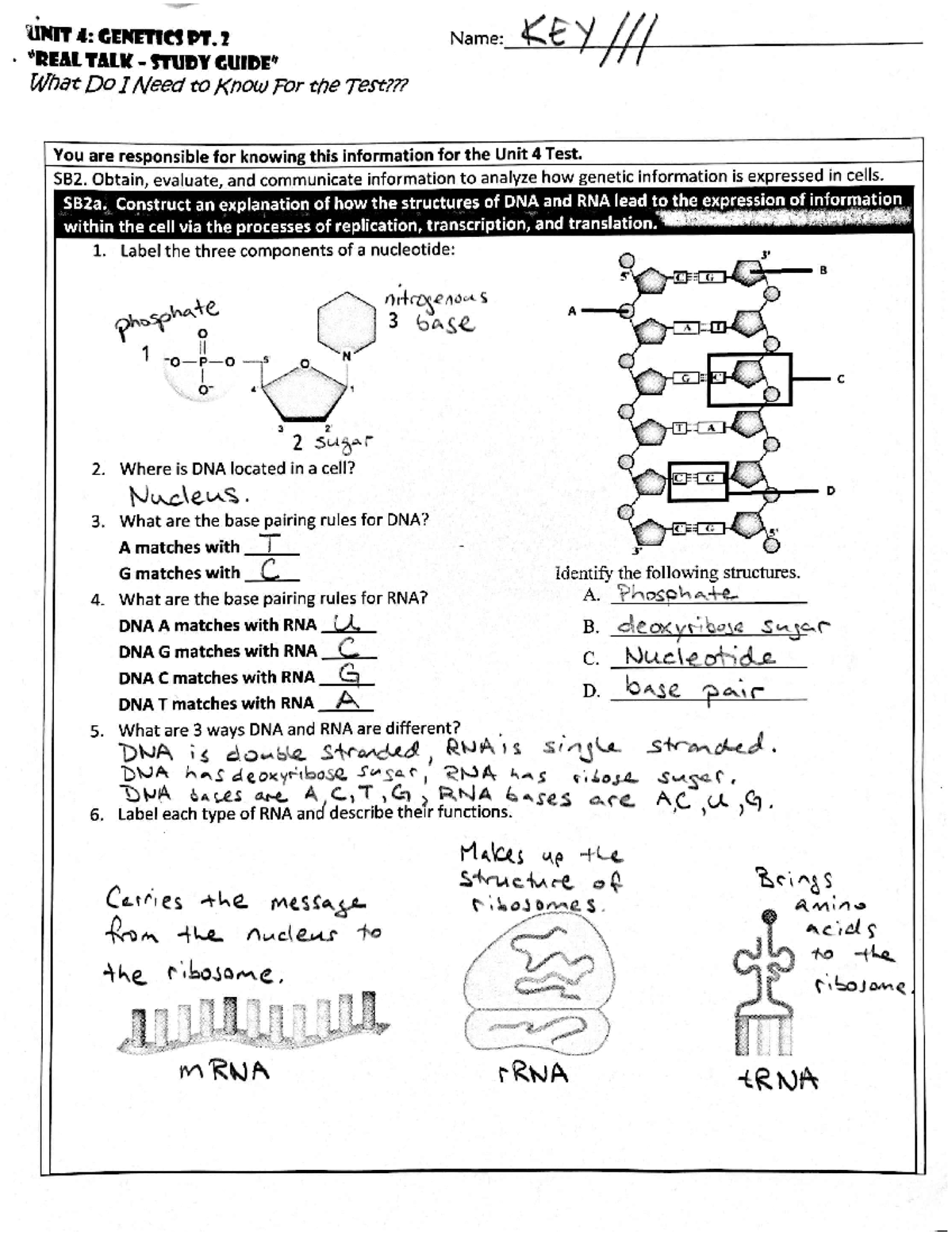 Unit 4 study guide key - Yes - Studocu