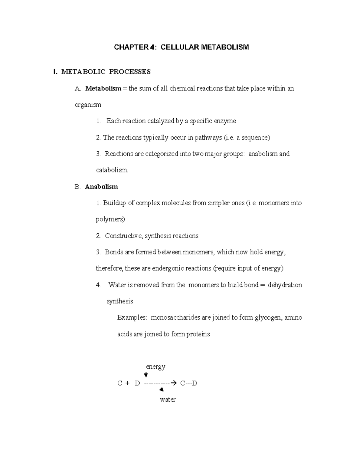 4 Cellular Metabolism Notes Pg 1 - CHAPTER 4: CELLULAR METABOLISM I ...
