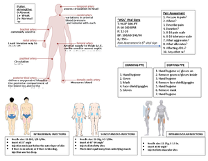 EXAM 2 Vitalsigns - vitals - EXAM 2 – VITAL SIGNS A nurse is planning ...
