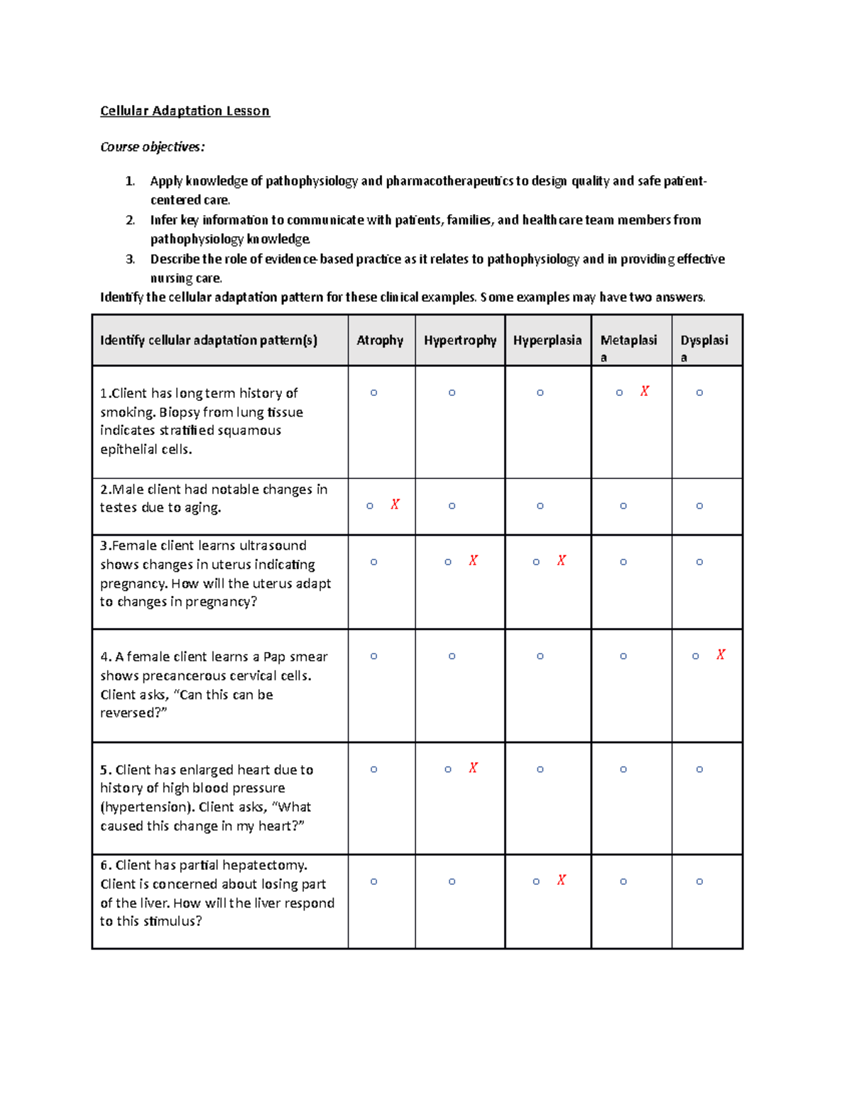 Cell adaptation student 22 - Cellular Adaptation Lesson Course ...