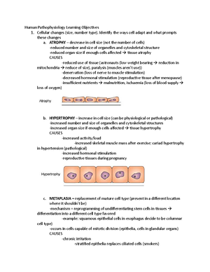 Human Pathophysiology Summary - LECTURE 1 - INTRODUCTION What is ...