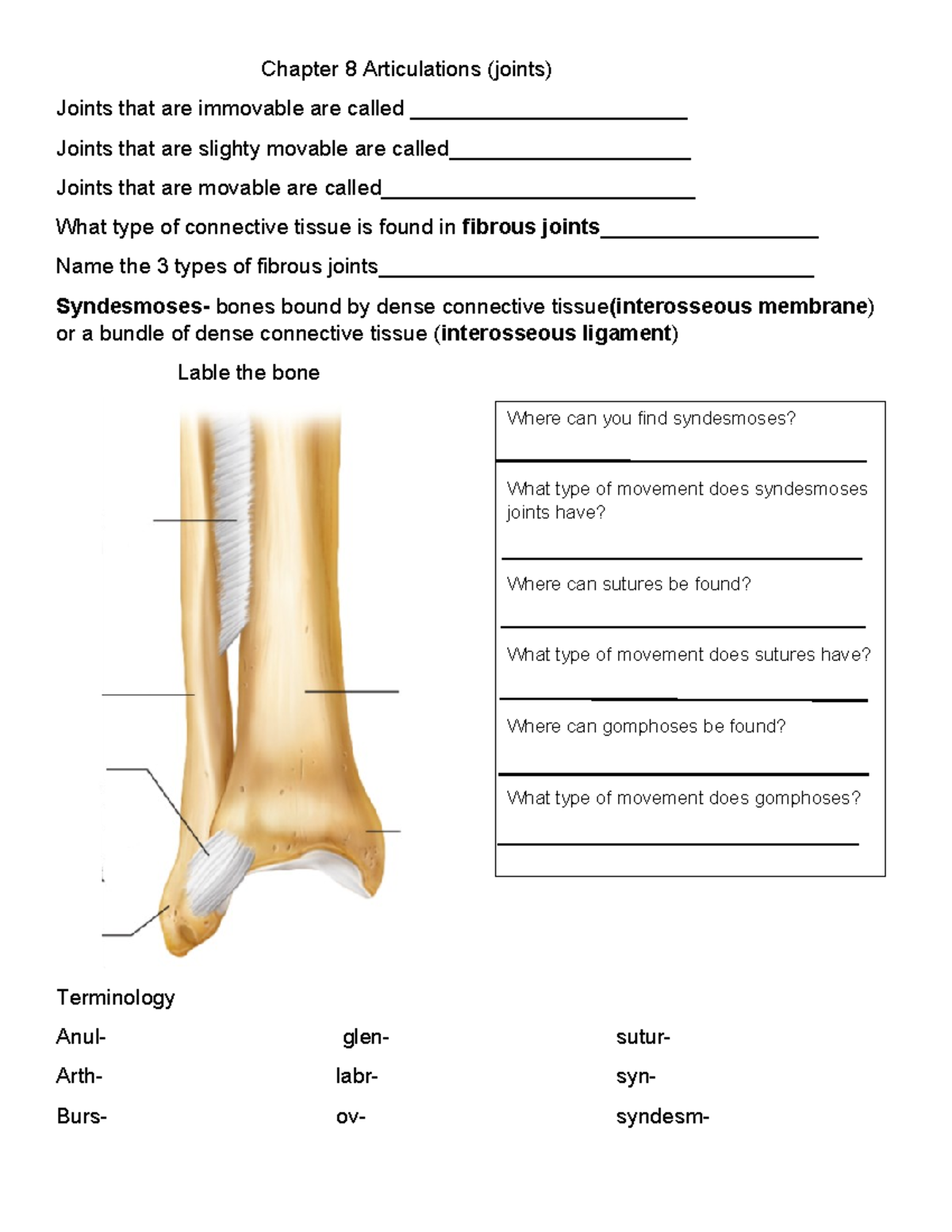 Ch. 8 joints - Chapter 8 Articulations (joints) Joints that are ...