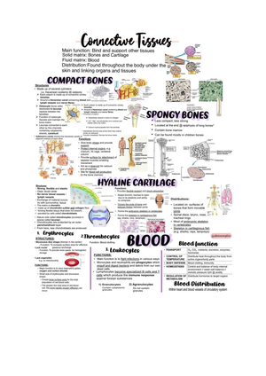 LAB Report EXP 1 (SEM 1) ( Marked) - TITLE Experiment 1: Basic Techniques in Microscopy ...