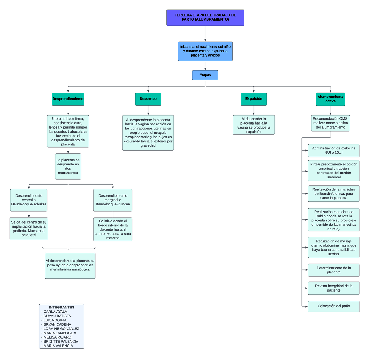 Alumbramiento - mapas - TERCERA ETAPA DEL TRABAJO DE PARTO ...