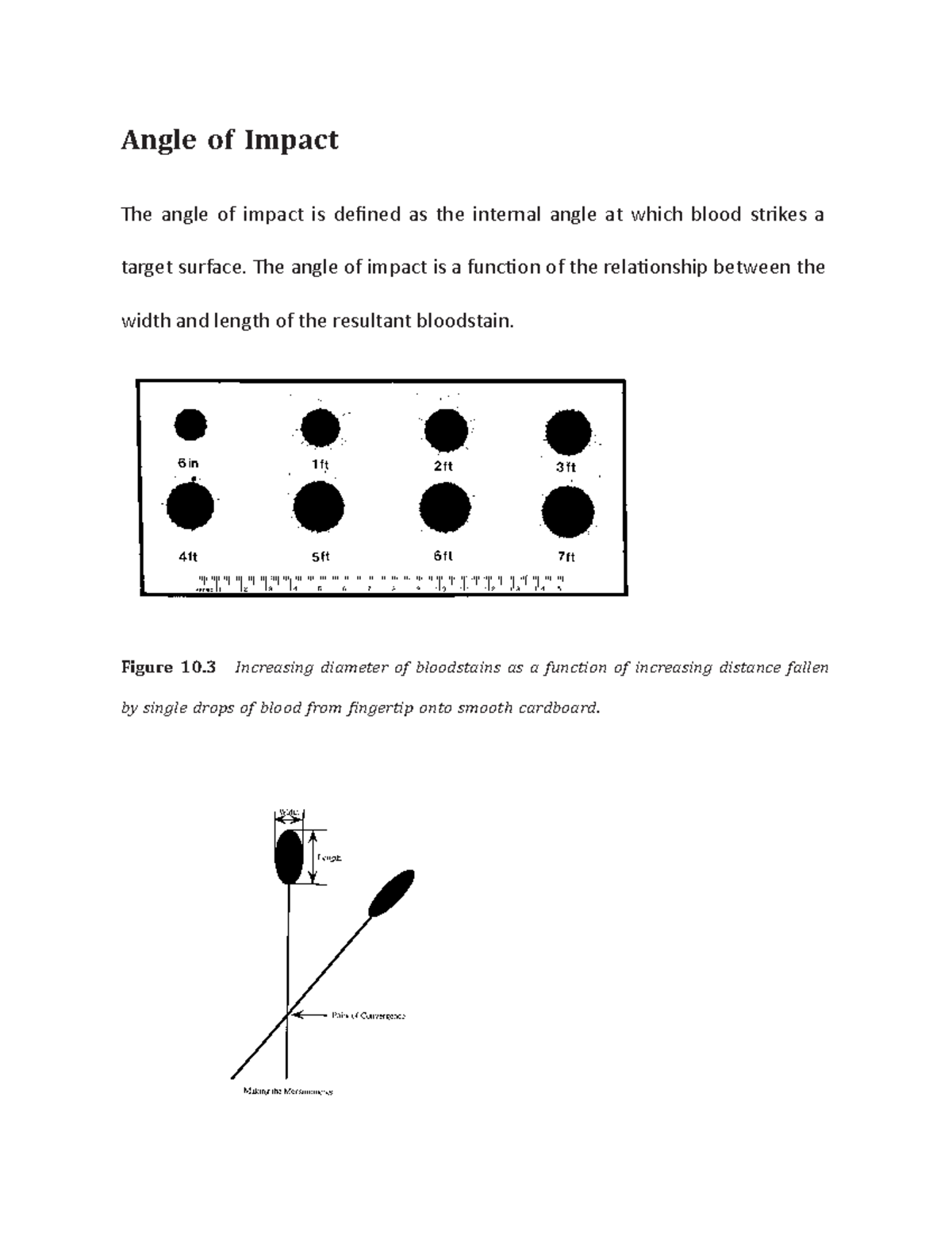 The Angle of Impact Criminology - Angle of Impact The angle of impact ...