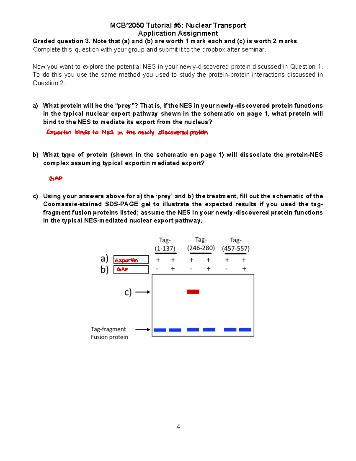 MCB 2050 Seminar 5 - MCB*2050 Tutorial # 5 : Nuclear Transport Application Assignment 4 Graded ...