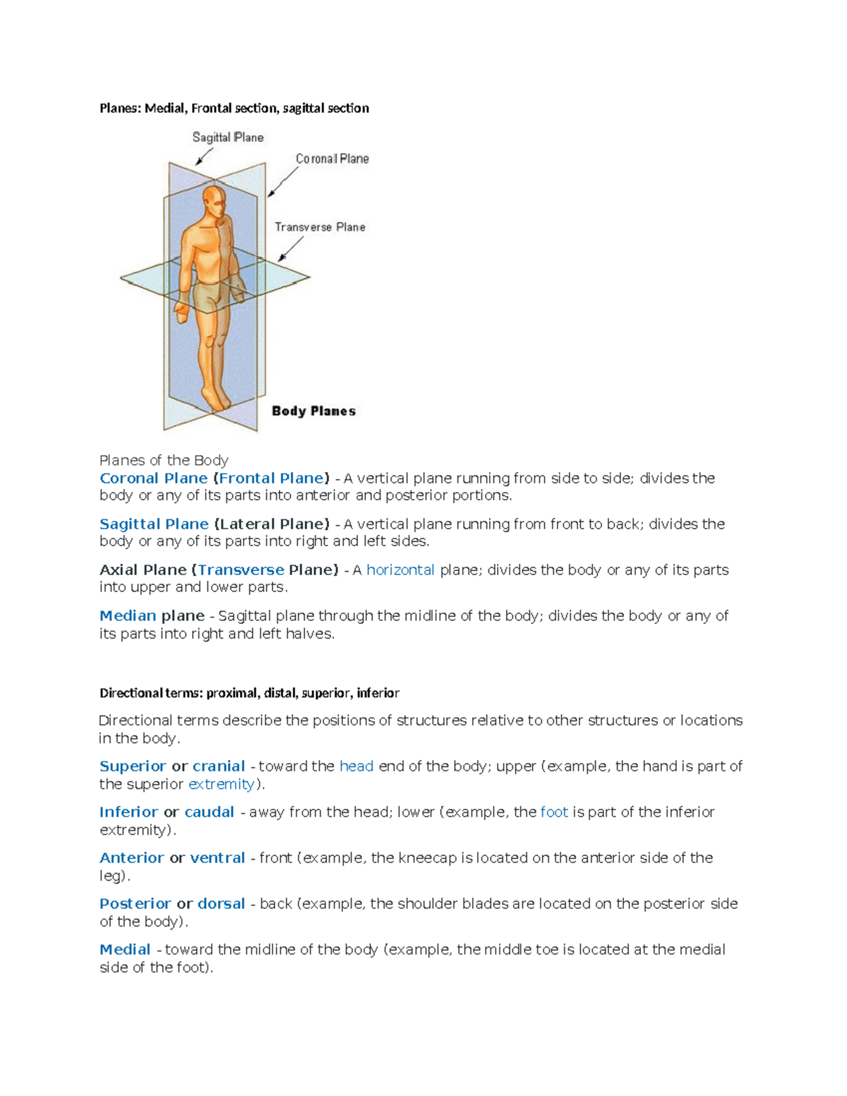 Planes Medial - Sagittal Plane (Lateral Plane) - A vertical plane ...