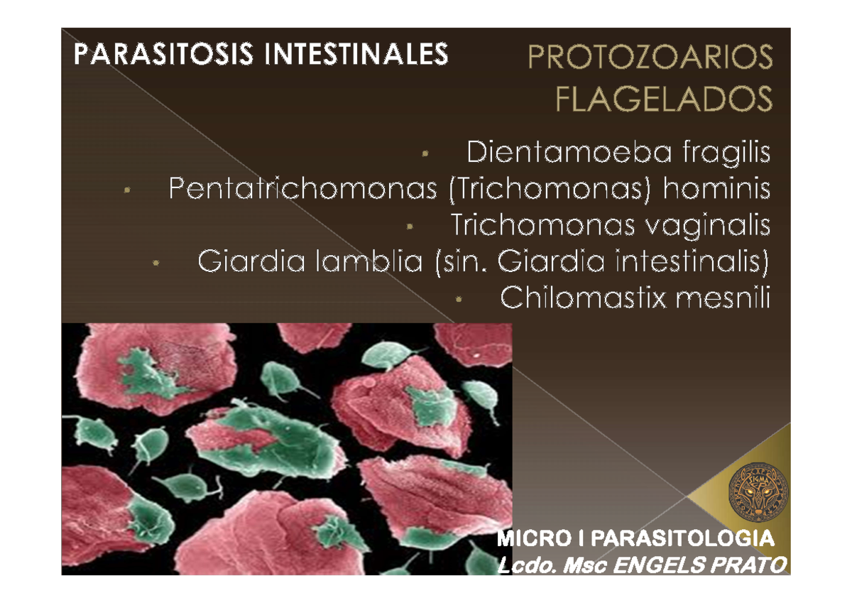 Clase 8 parasitosis intestinales Flagelados - MICRO I PARASITOLOGIA ...