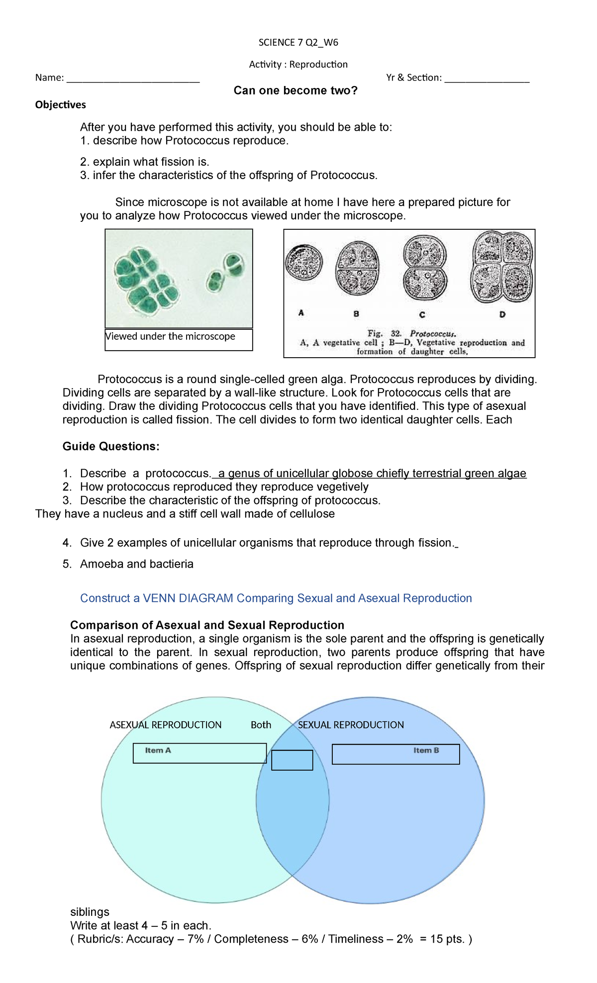 Q2 W5 - aaaaaaaaaaaaaaaaaaaaaaaaaaaaaaaaaaaaaaaaaaaaaaaaaaa - Viewed ...