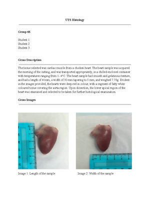 Histology report template-2 (1).docx - 091500 - Studocu