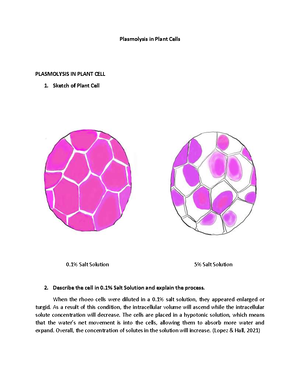 Botany Laboratory Reviewer - midterms - BOTANY LABORATORY REVIEWER 01 ...