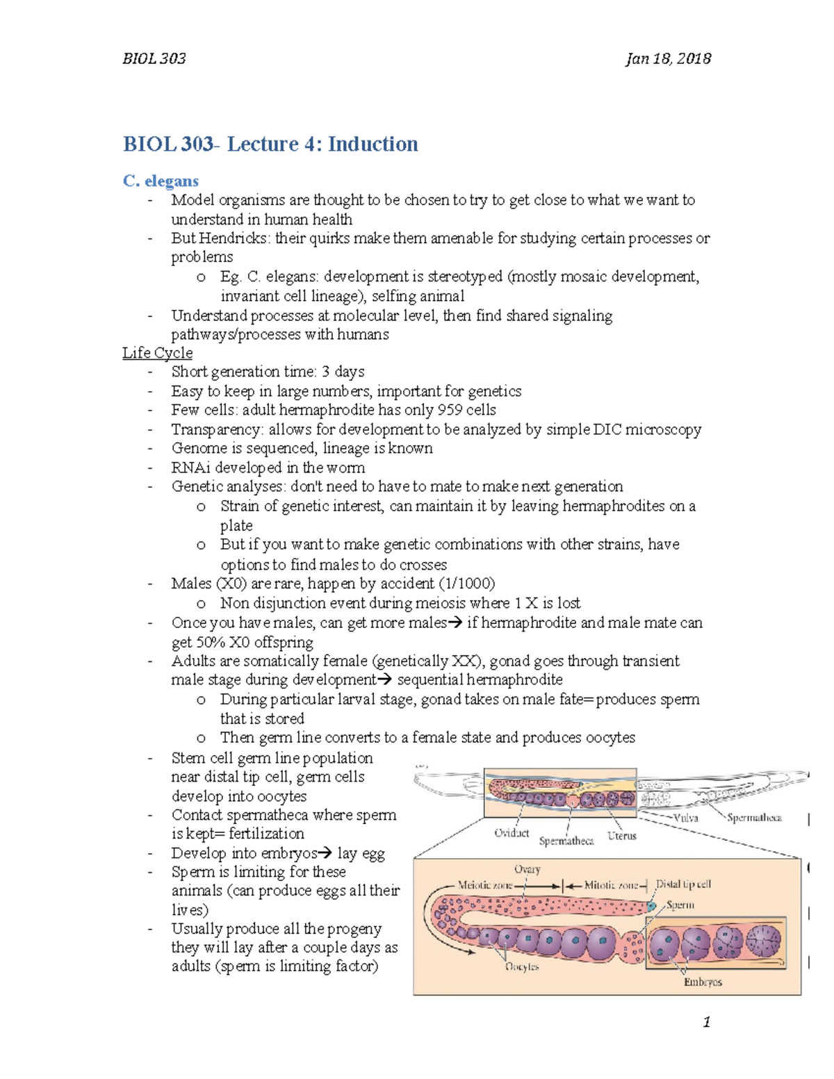 BIOL 303- Lecture 4 - Prof. Hendricks - BIOL 303 Jan 18, 2018 BIOL 303 ...