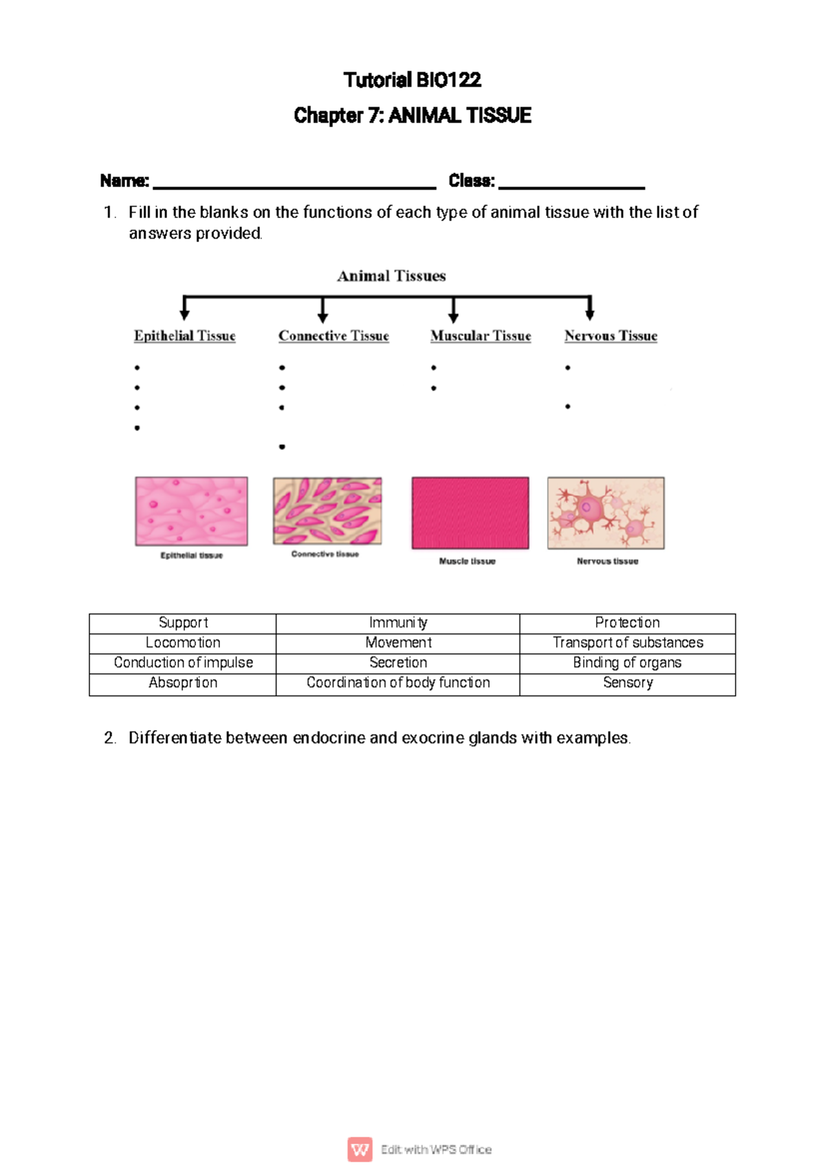 Chapter 7 Tutorial Week 12 ( Question) - Tutorial BIO Chapter 7: ANIMAL ...