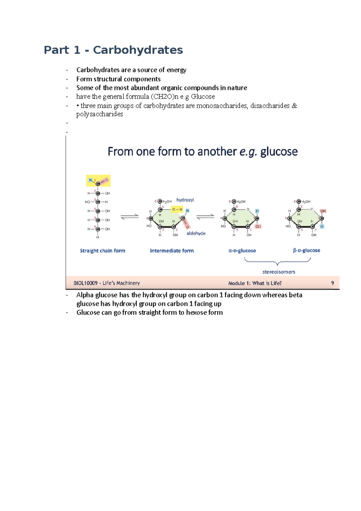 Lecture 3- Molecules of Life 2 - Part 1 - Carbohydrates Carbohydrates ...