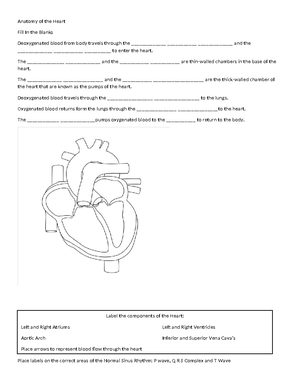 4-6-24 care plan - care plan - Assessment (Recognizing Cues) Which ...