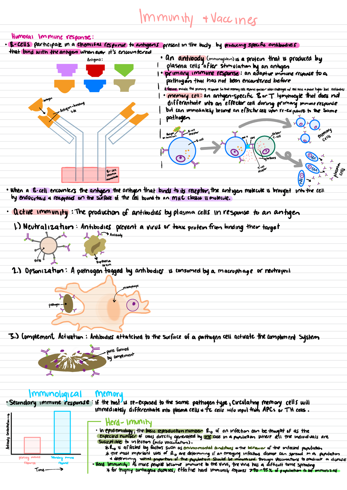 Unit 4 pt 3 bio 1109 - Immunity and Vaccines - Immunity ...