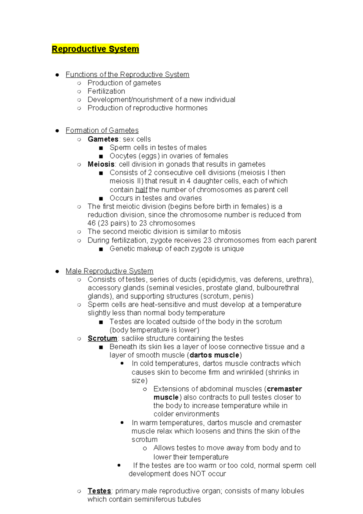 Reproductive System outline - Reproductive System Functions of the ...