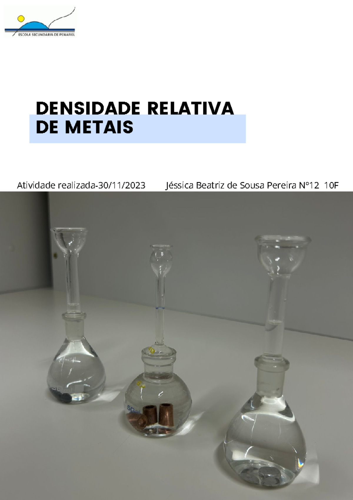 Relatorio DENSIDADE RELATIVA DE METAIS - DENSIDADE RELATIVA DE METAIS ...