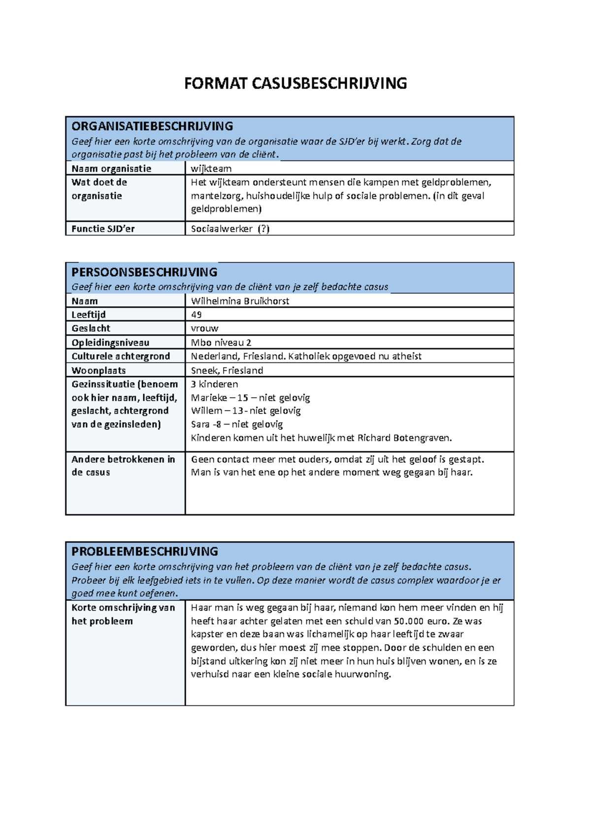 Format casusbeschrijving - FORMAT CASUSBESCHRIJVING ...