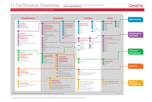 [Solved] In conclusion the decision to use an IDE or a nonIDE ...