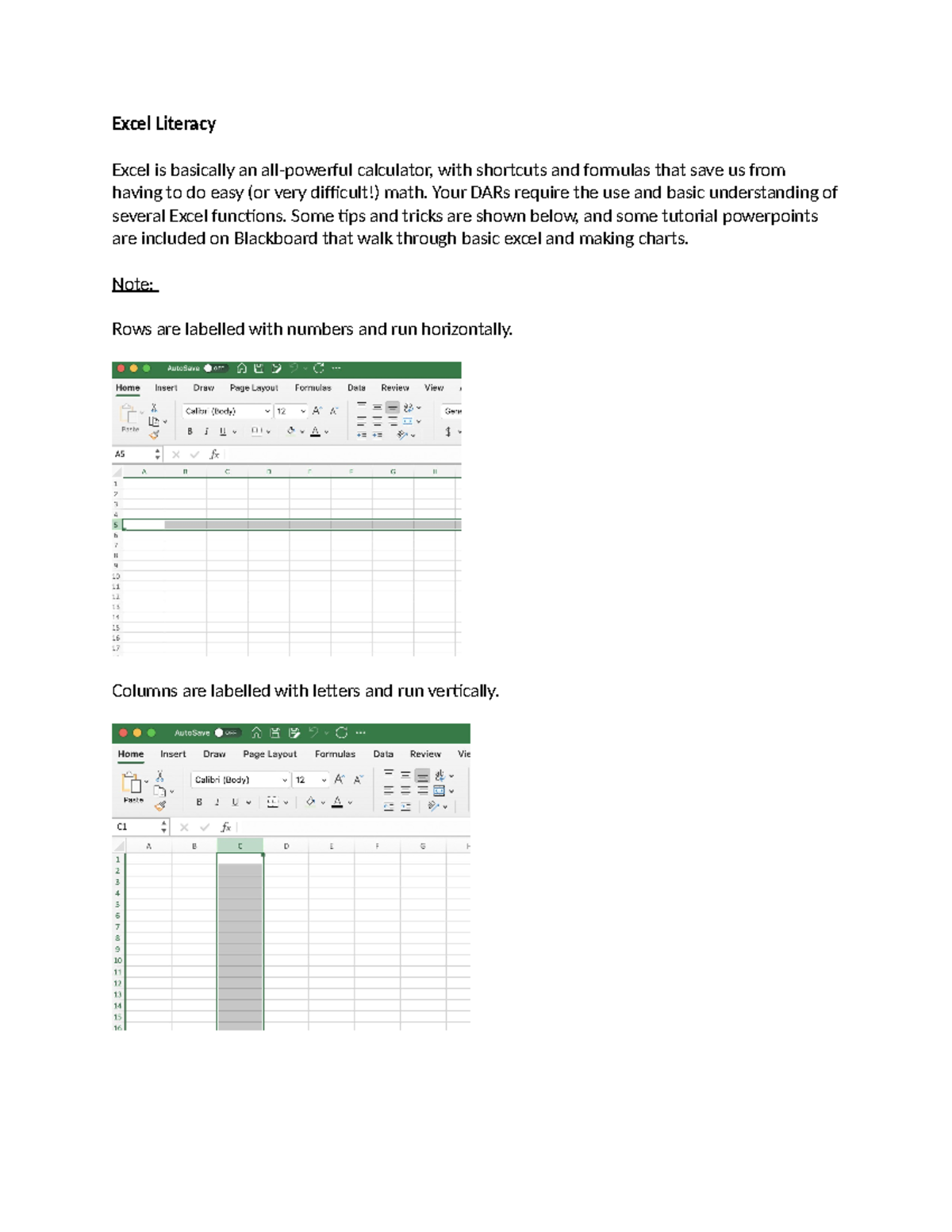 Excel Literacy Written Notes - Excel Literacy Excel is basically an all ...