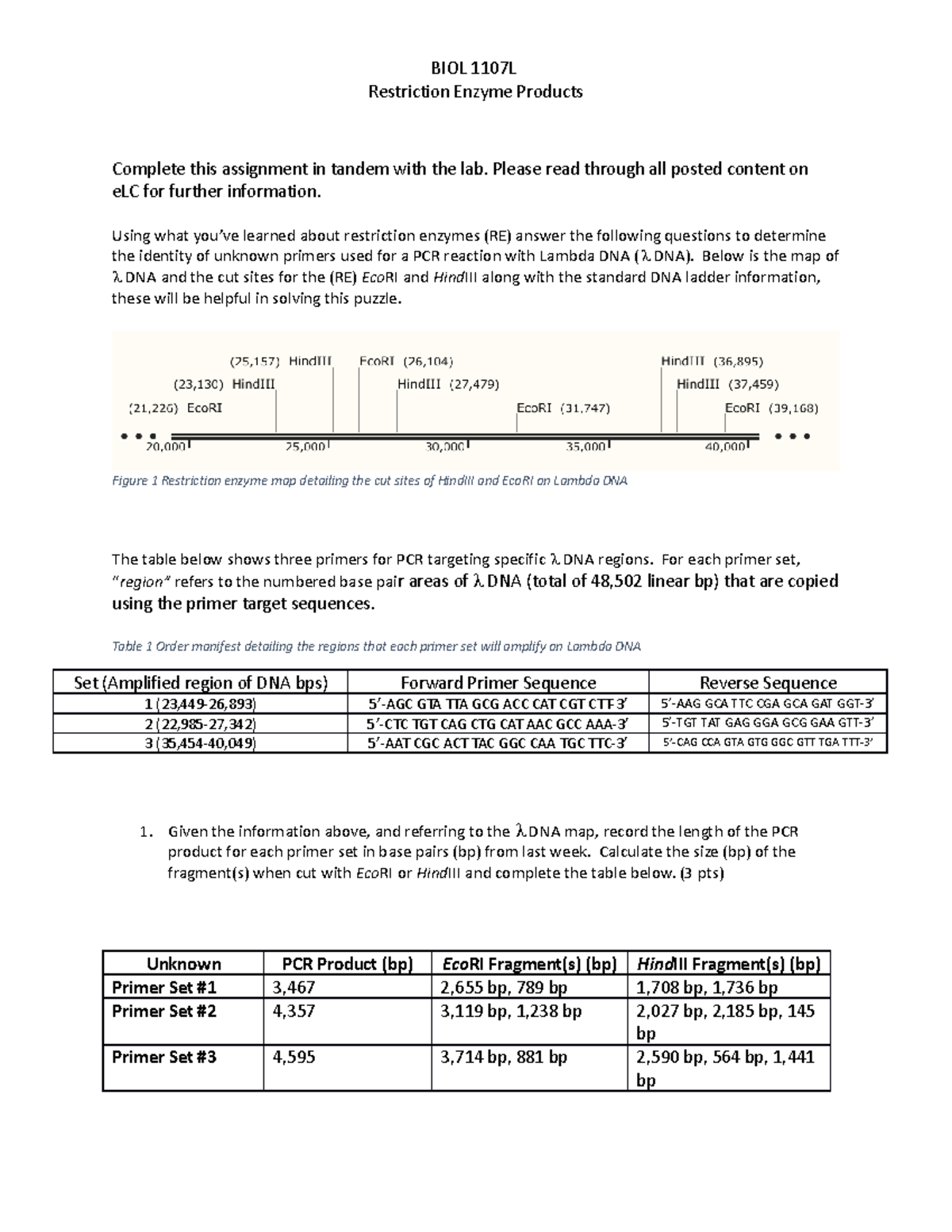 Rep bio lab - rep bio lab 1107 - BIOL 1107L Restriction Enzyme Products ...