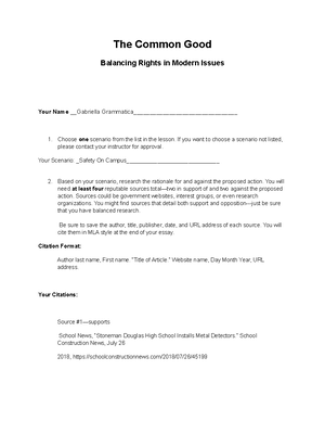 03.05 Public Policy - 3.05 gov assignment - Public Policy Policy ...