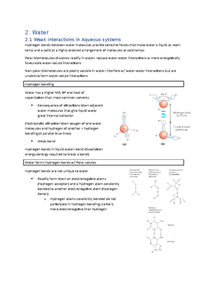 BCV201 Study Guide 2024 - Department of Biochemistry & Microbiology ...